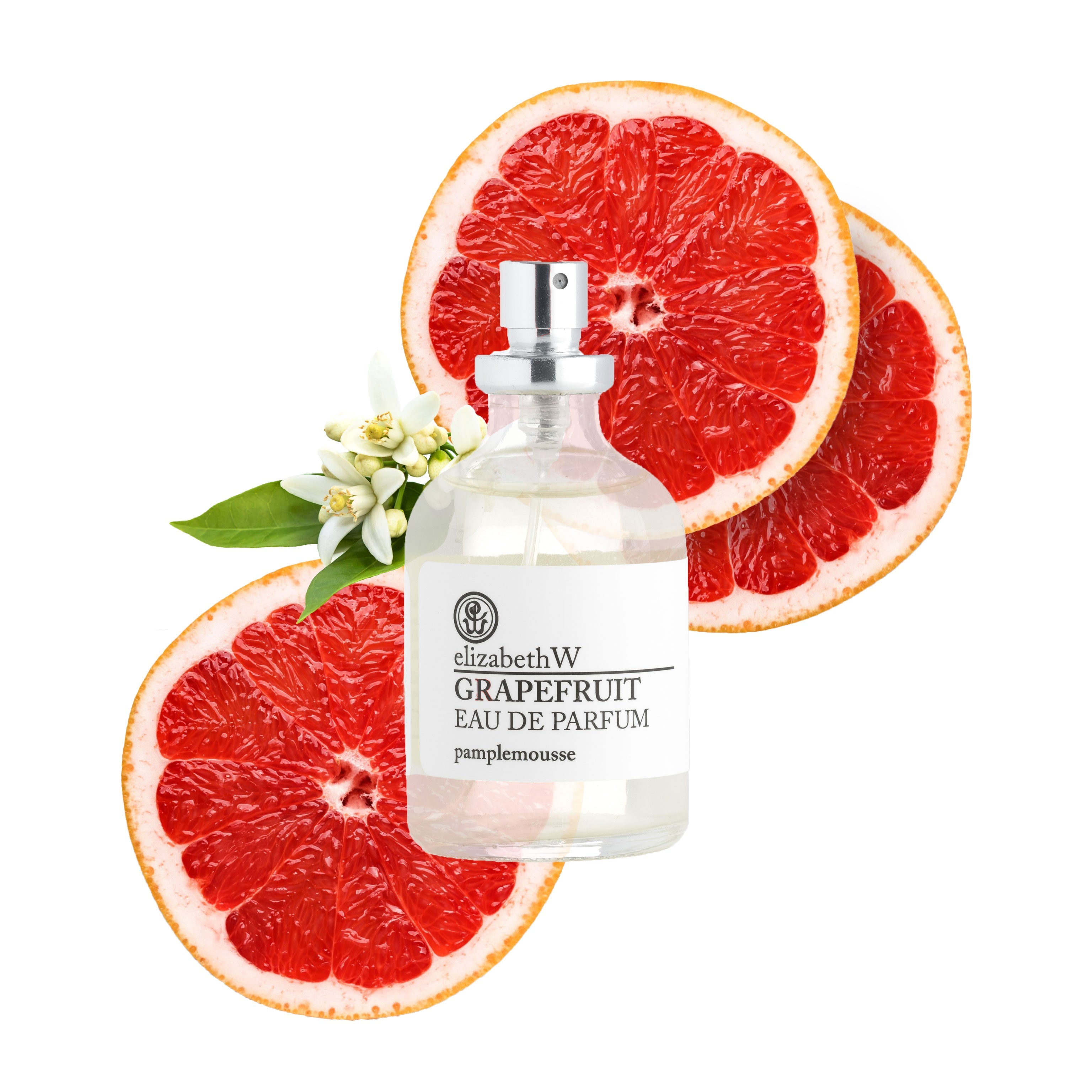 Grapefruit - elizabethW